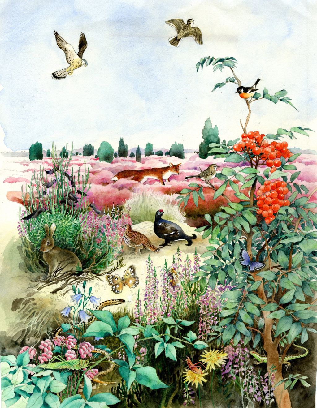 The Tjong Khing - Dieren - Literatuurmuseum / Kinderboekenmuseum